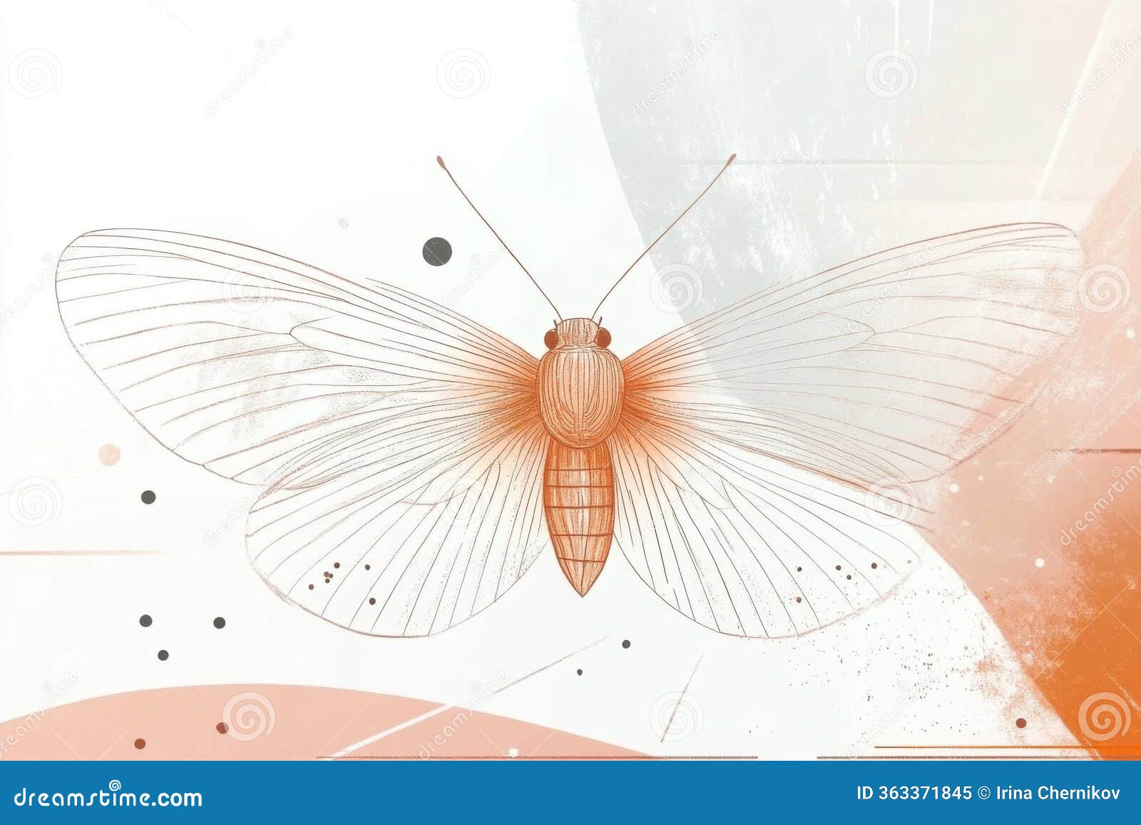 Moth Illustration, Cute Vector Illustration Of Flying Insects ...