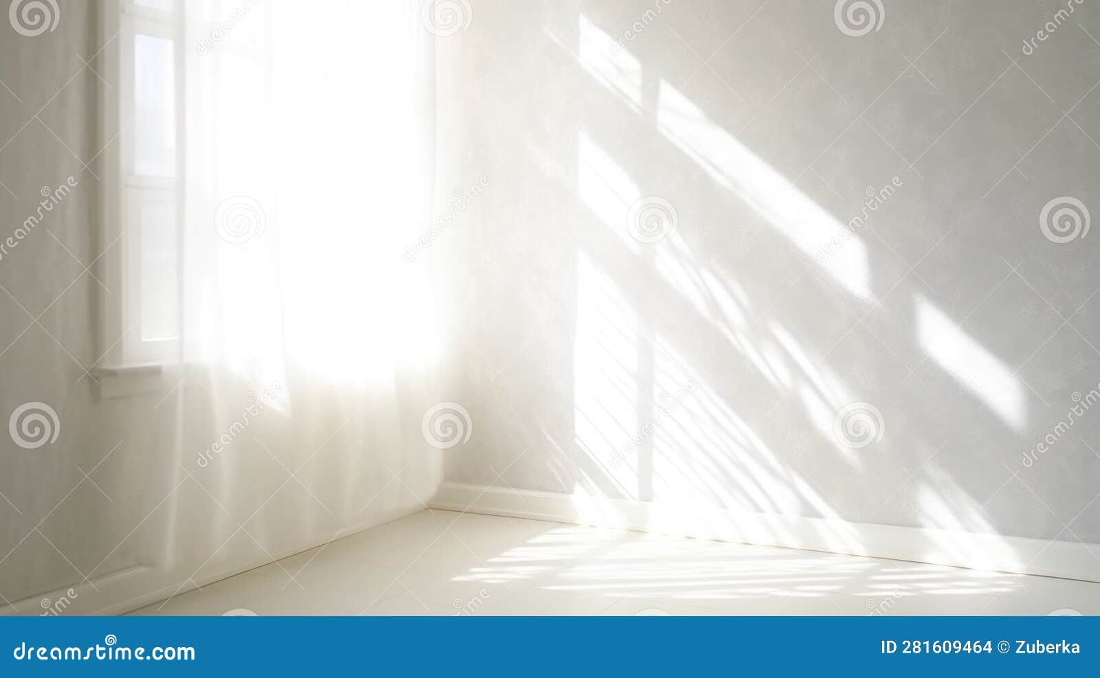 Minimalistic Empty Sunny White Interior with Empty Wall Stock ...