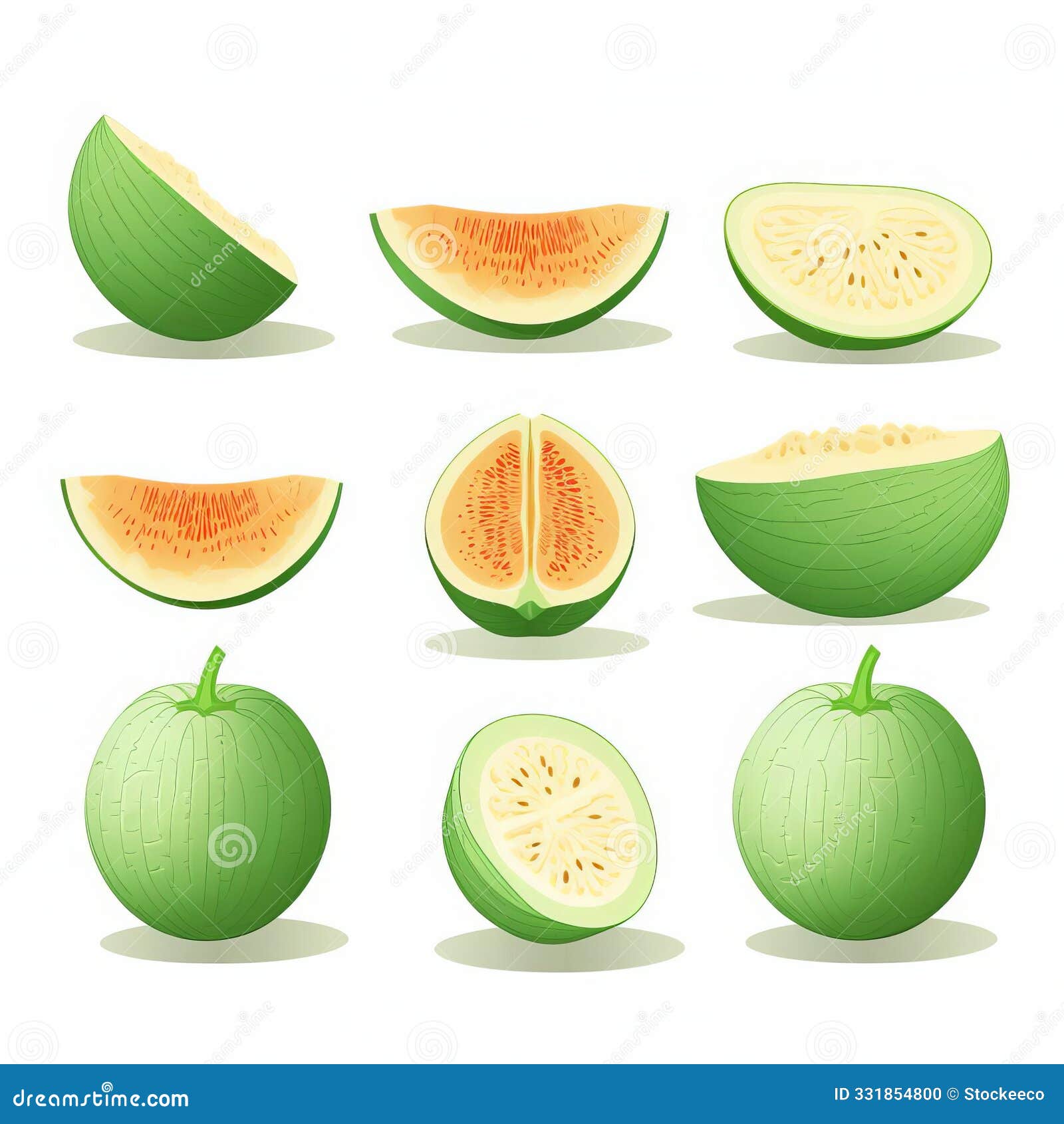 Minimalistic Flat Melon Set Vector Svg Animation Assets Stock ...