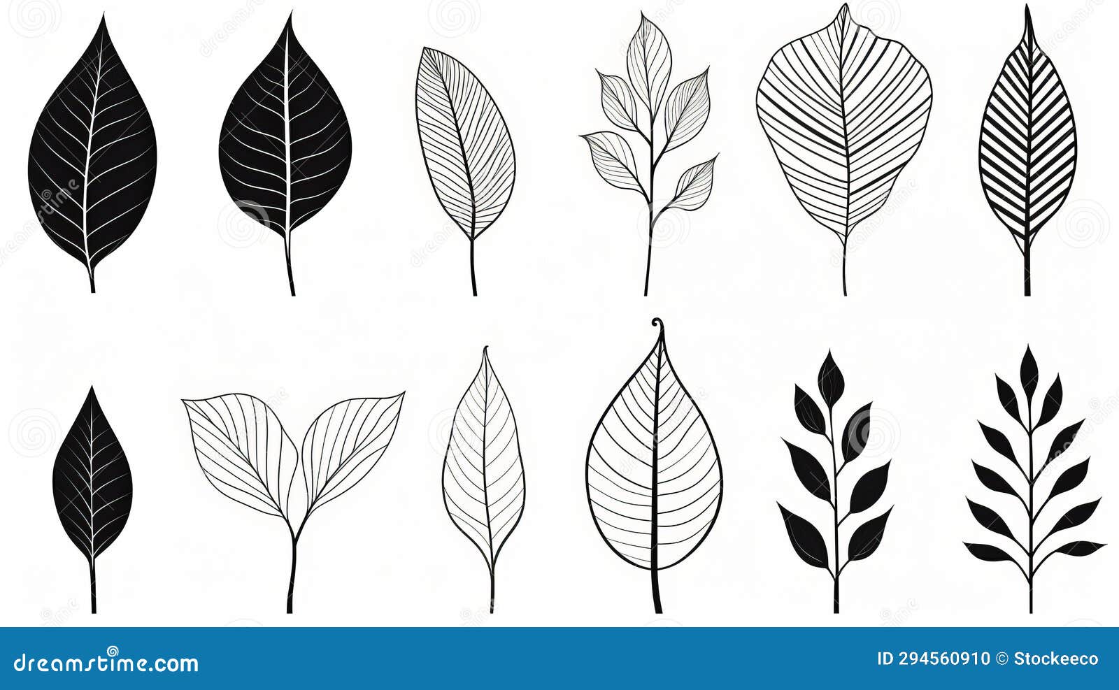 Minimalistic Hand Drawn Black and White Leaves - Organic Vector Art ...
