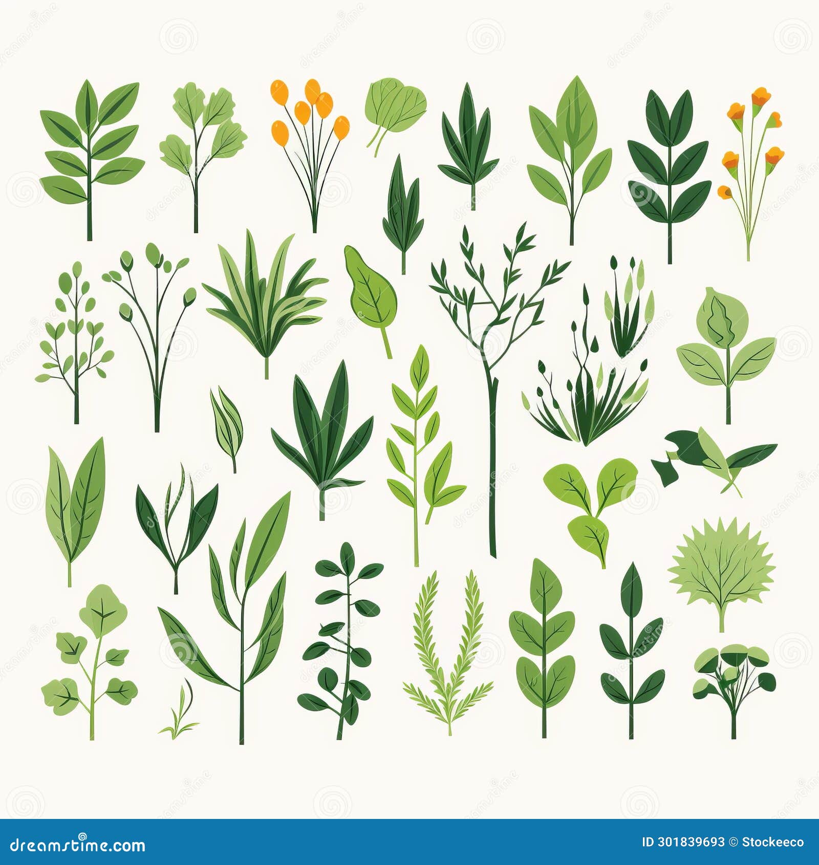 Minimalistic Herb Set Vector Svg Flat Animation Asset Stock ...