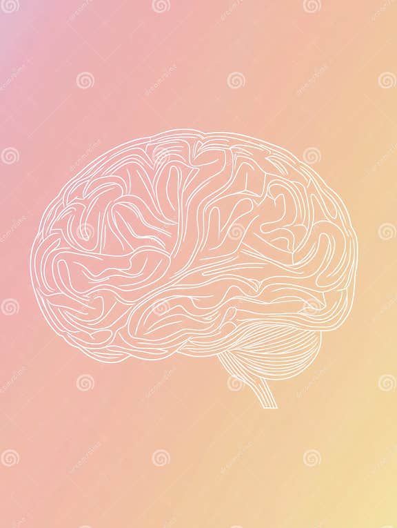 A Minimalistic Human Brain Doodle Created with Thin White Lines on a ...