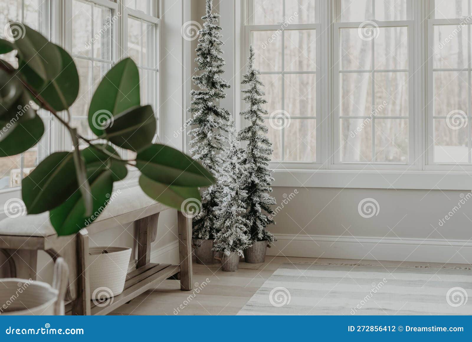 Minimalistic Interior Design with Decorative Pine Trees in the Corner ...