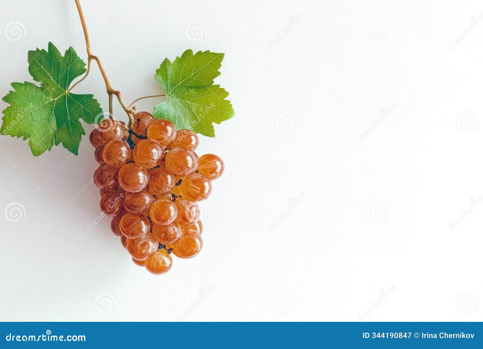 Minimalistic Isolated Single Grape Cluster with Green Leaves on White ...