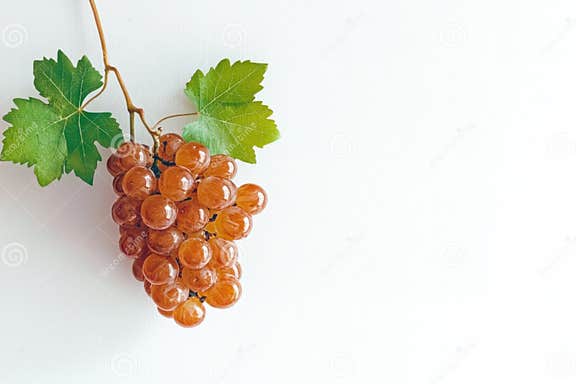 Minimalistic Isolated Single Grape Cluster with Green Leaves on White ...
