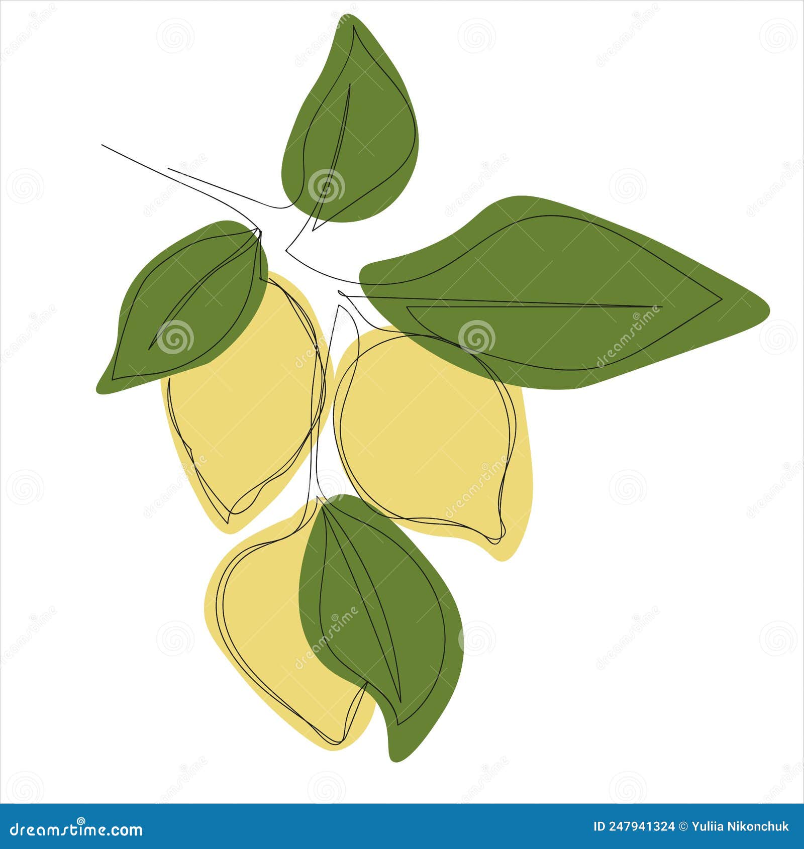 Minimalistic Lemon Branch Line Art Stock Illustration - Illustration of ...