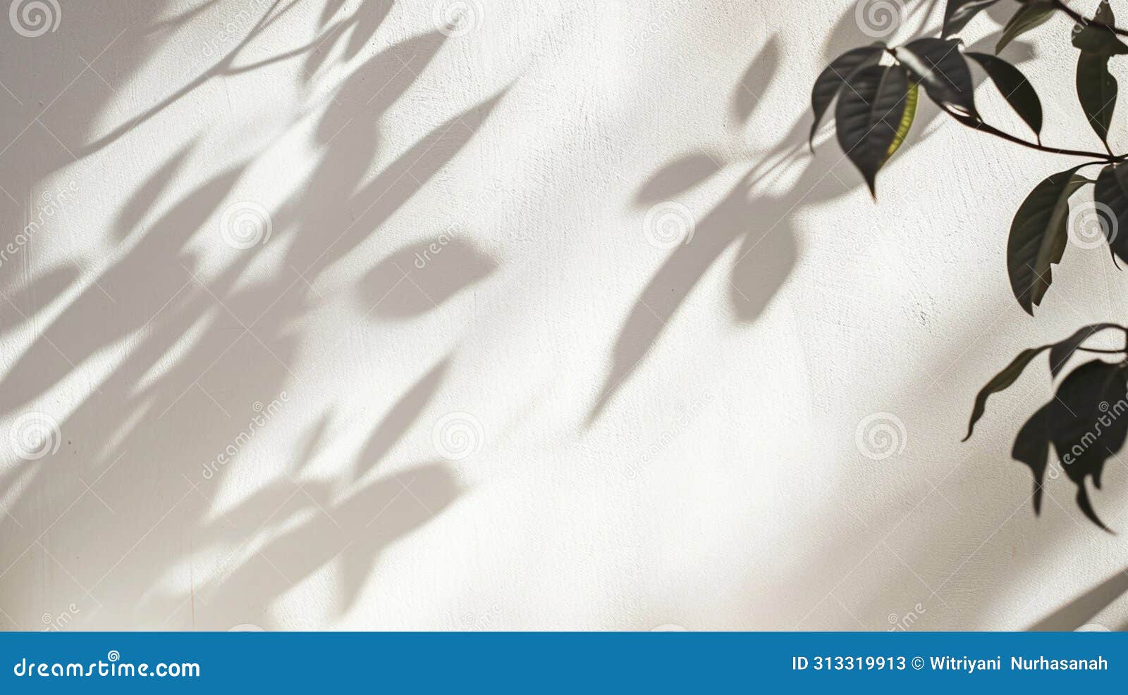 Minimalistic Light Background with Blurred Foliage Shadow on a Light ...