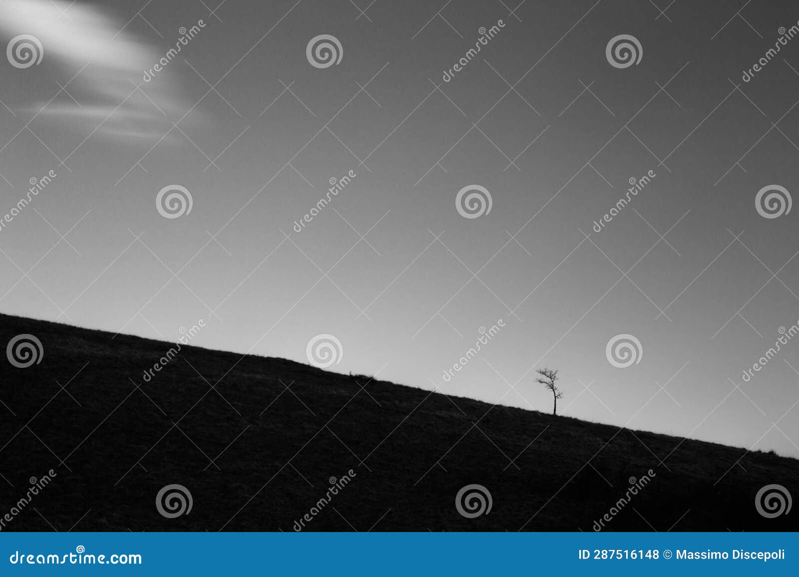 Minimalistic, Long Exposure View of a Distant Tree Against an almost ...