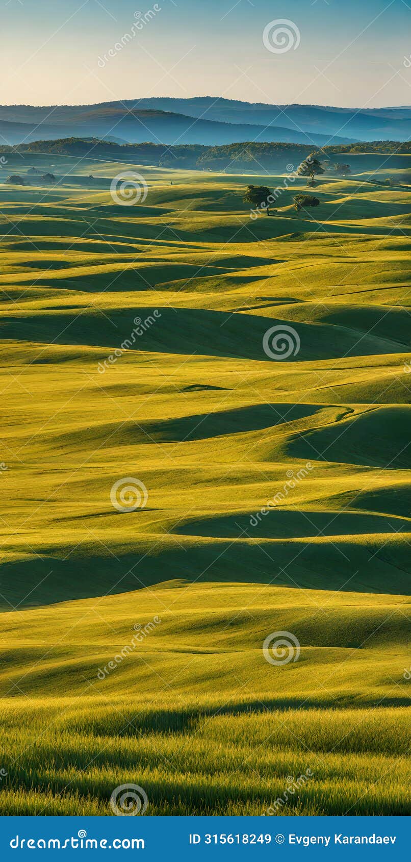 Minimalistic Nature Scene Captured from a Distance, Located in an Open ...