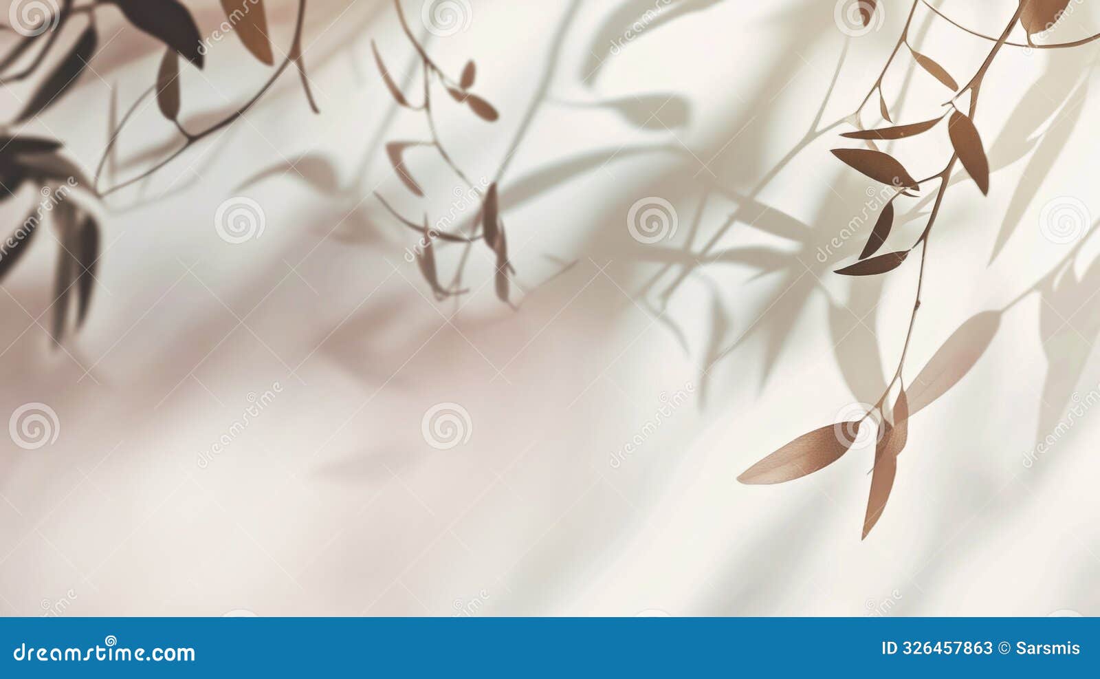 Minimalistic Nature Shadows: Elegant Leaves Casting Delicate Shadows on ...