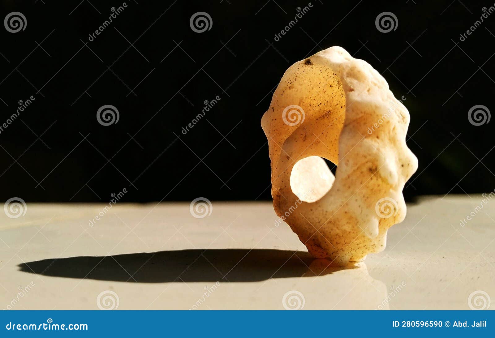Minimalistic Object Wallpaper of Cut Hermit Crab Shells Stock Photo ...