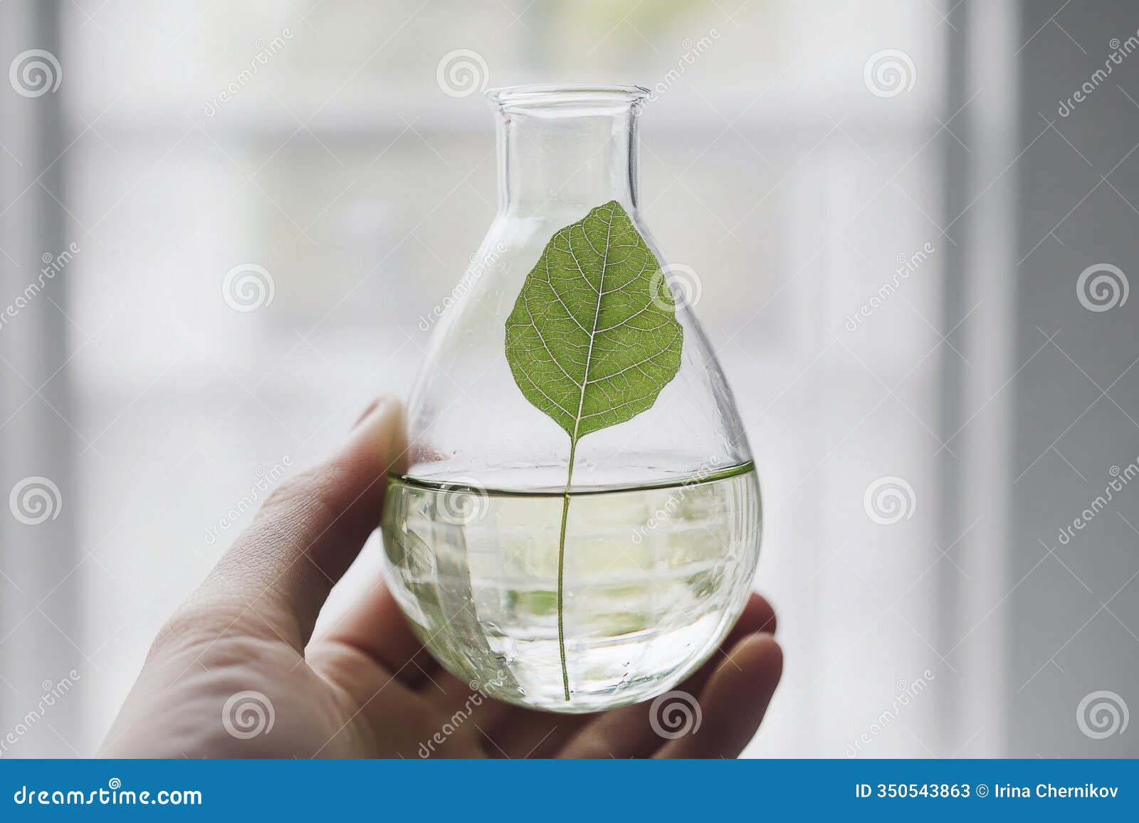 Minimalistic Science Lab With Beakers, Microscopes, And Test Tubes On ...