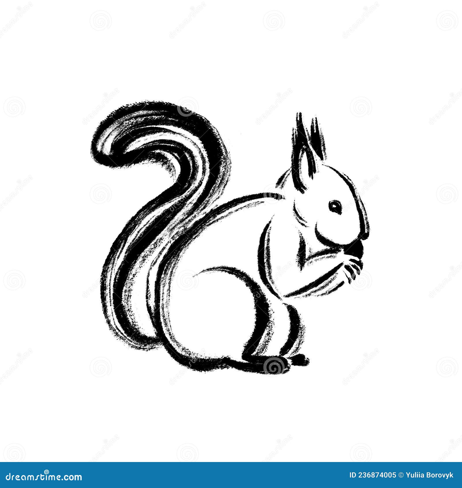 Squirrel Drawing. Squirrel Head Full Face. Simple Line Drawing Of A ...