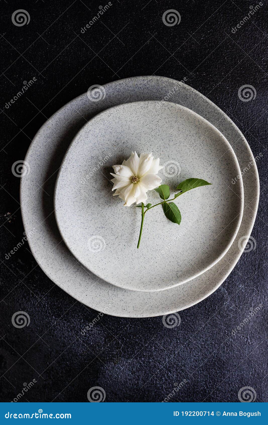 Minimalistic Table Setting with White Rose Stock Photo - Image of bowl ...