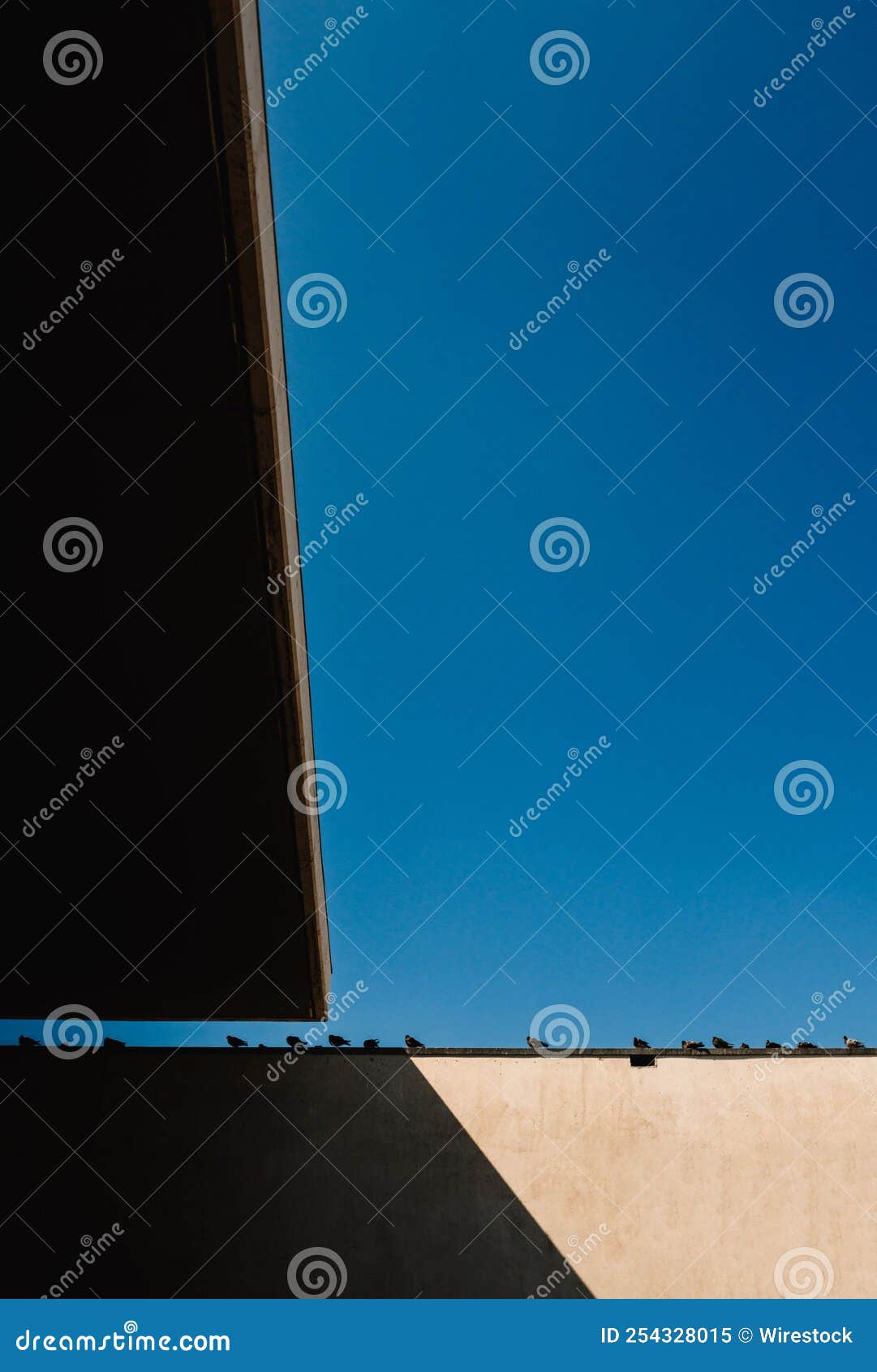 Minimalistic View of a Rooftop and Birds Perched on a Wall Stock Image ...