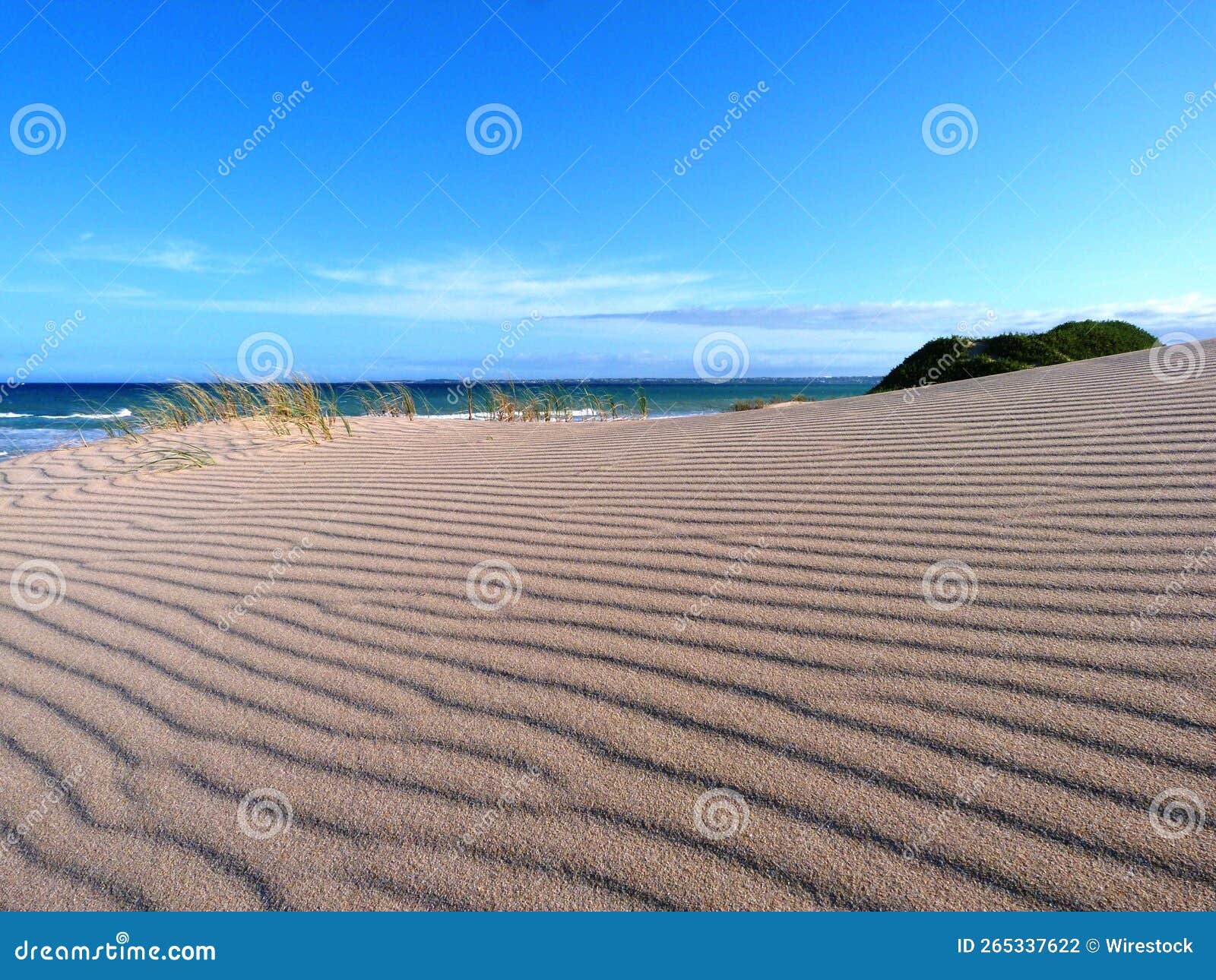 Minimalistic View of the Sand at the Beah Stock Photo - Image of trails ...