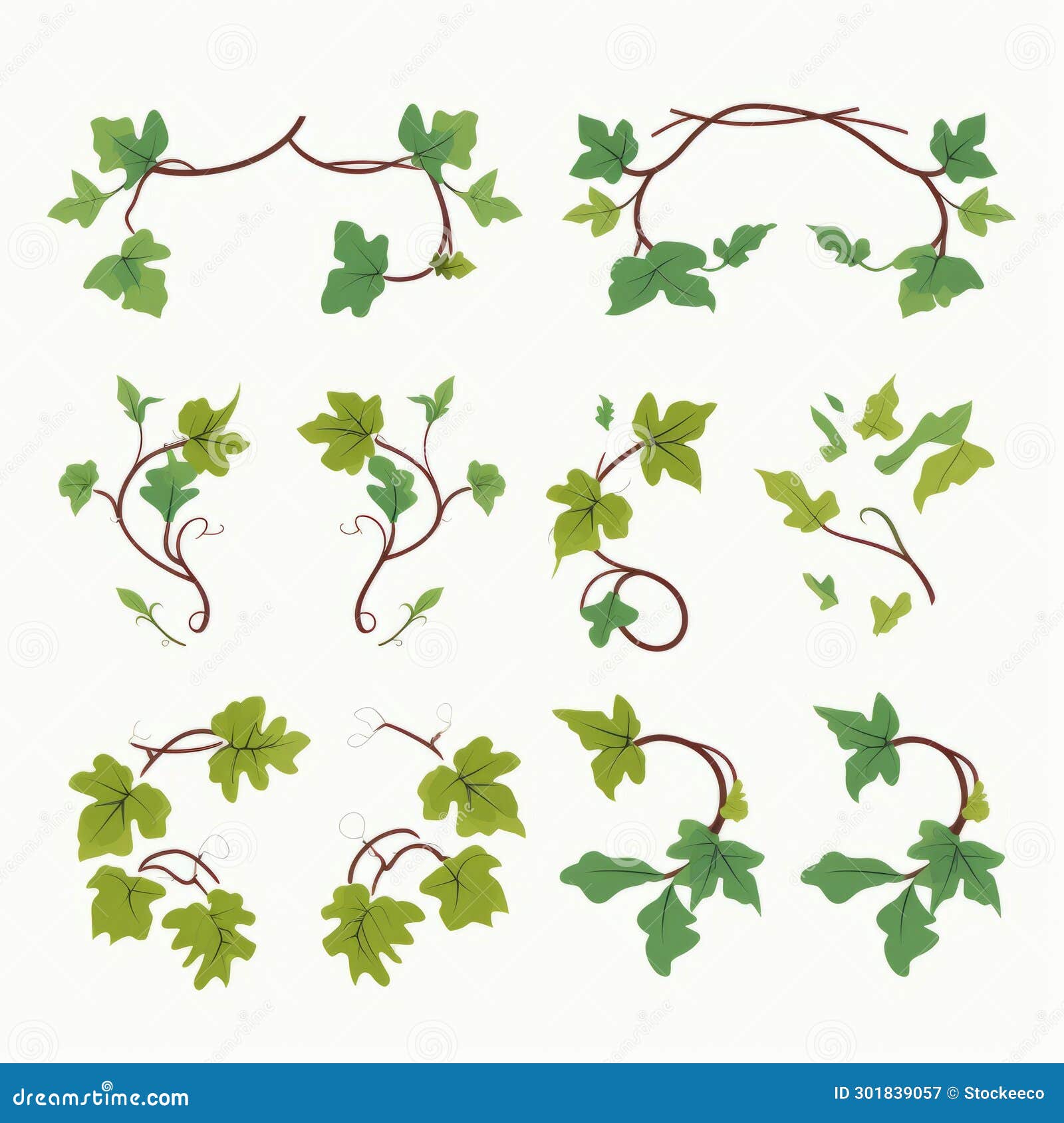 Minimalistic Vine Set Vector Svg Flat Animation Asset Stock ...