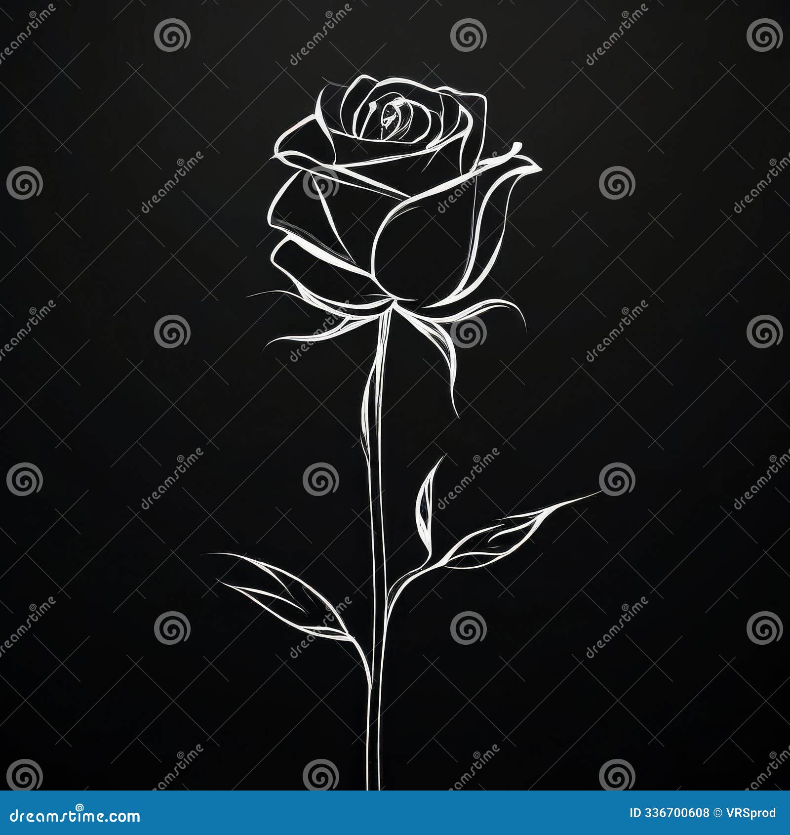 Minimalistic White Rose Line Drawing on a Black Background Stock ...