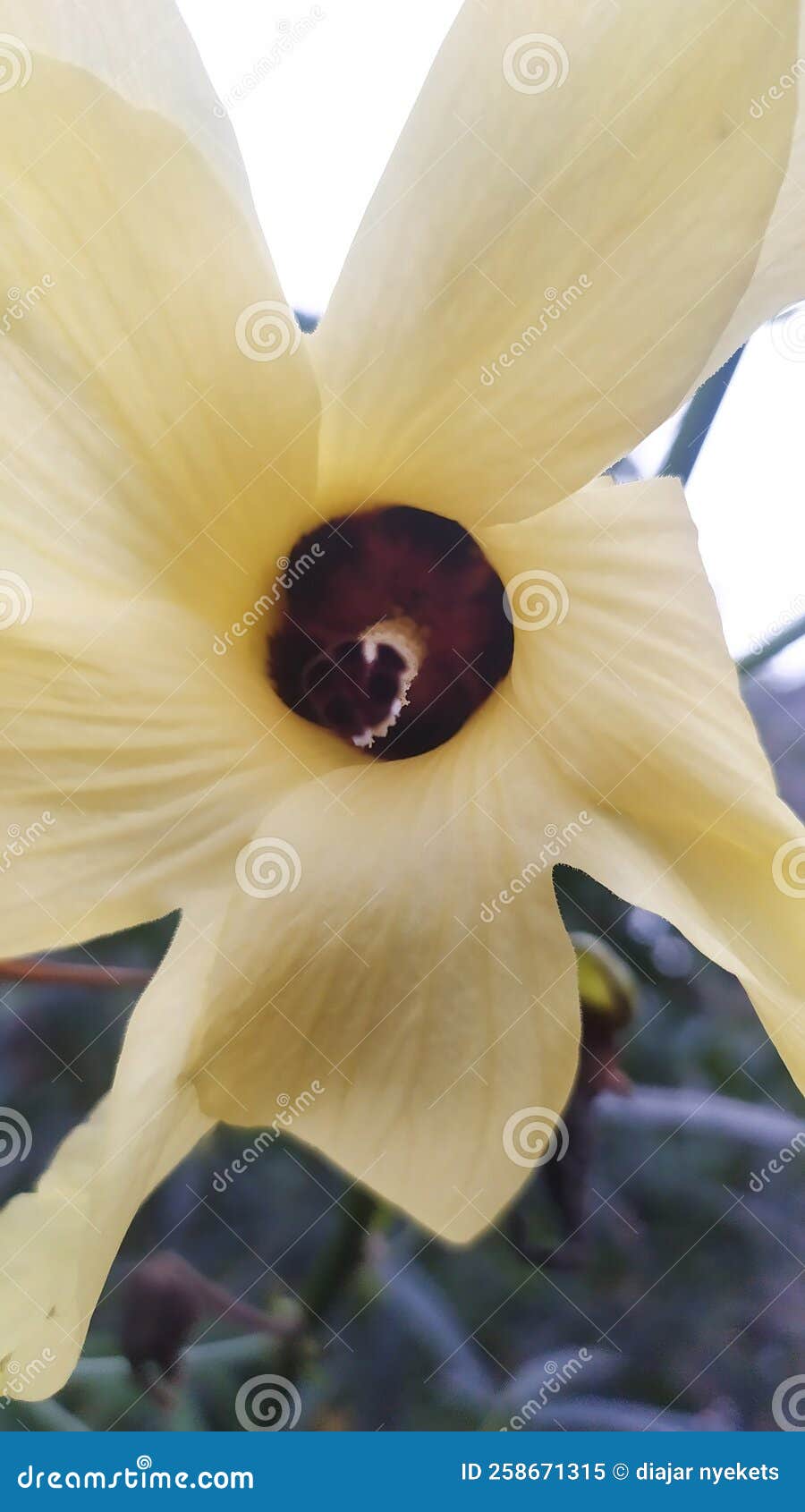 Minimalized Abstract Small Backgrounds Stock Image - Image of plant ...