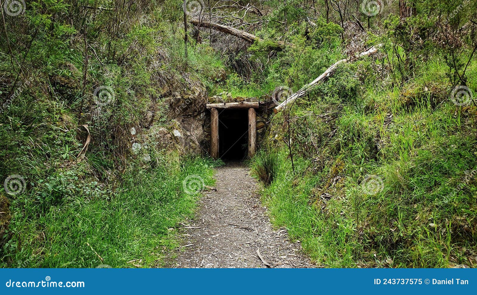 Mining cave in the forest stock image. Image of jungle - 243737575