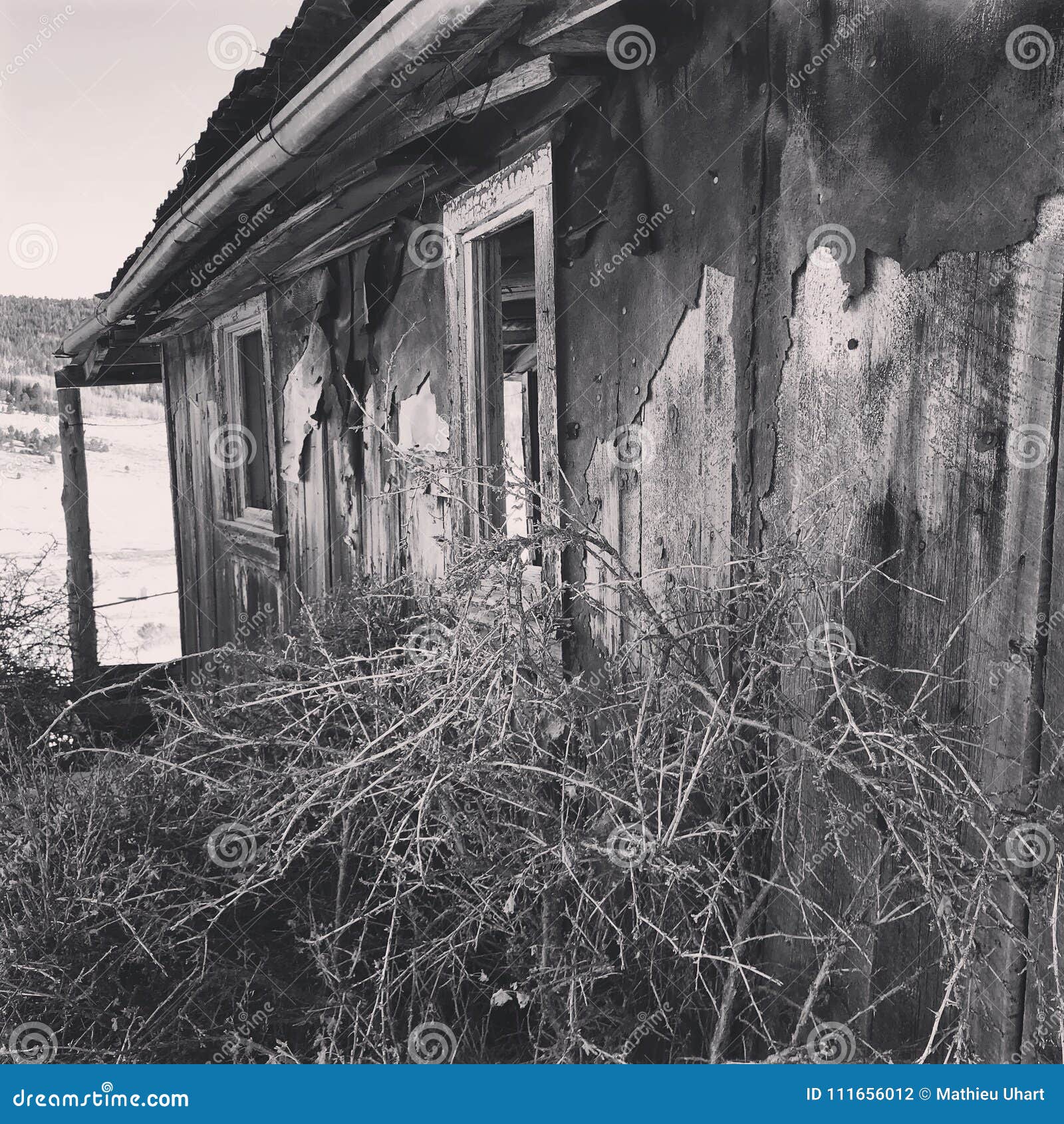 Old Mining Shack Victor Stock Photos - Free & Royalty-Free Stock Photos ...