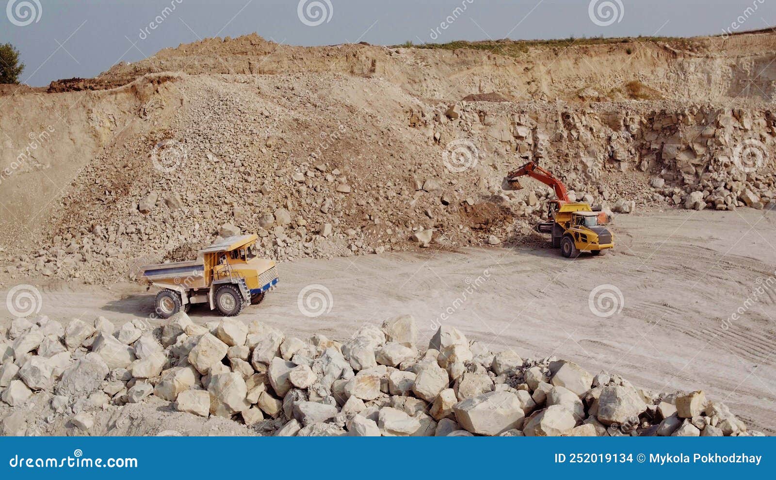 Cat Taking A Dump Crap Shit Poop Shitting Cat , Beautiful Digital Image ...