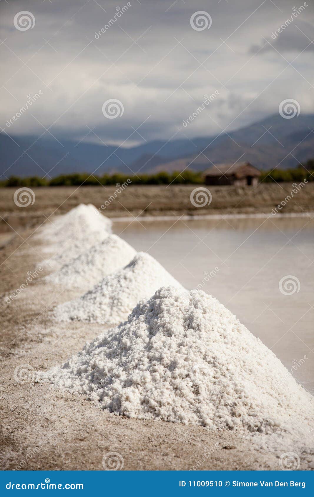 Mining salt stock photo. Image of asia, plains, indonesia - 11009510