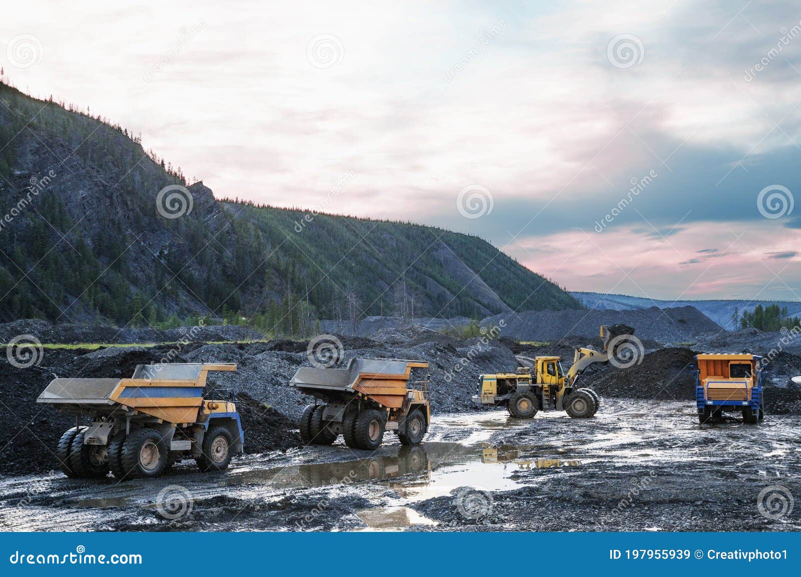 Mining Trucks Are Queuing, In The Background A Wheel Loader Is Loading ...
