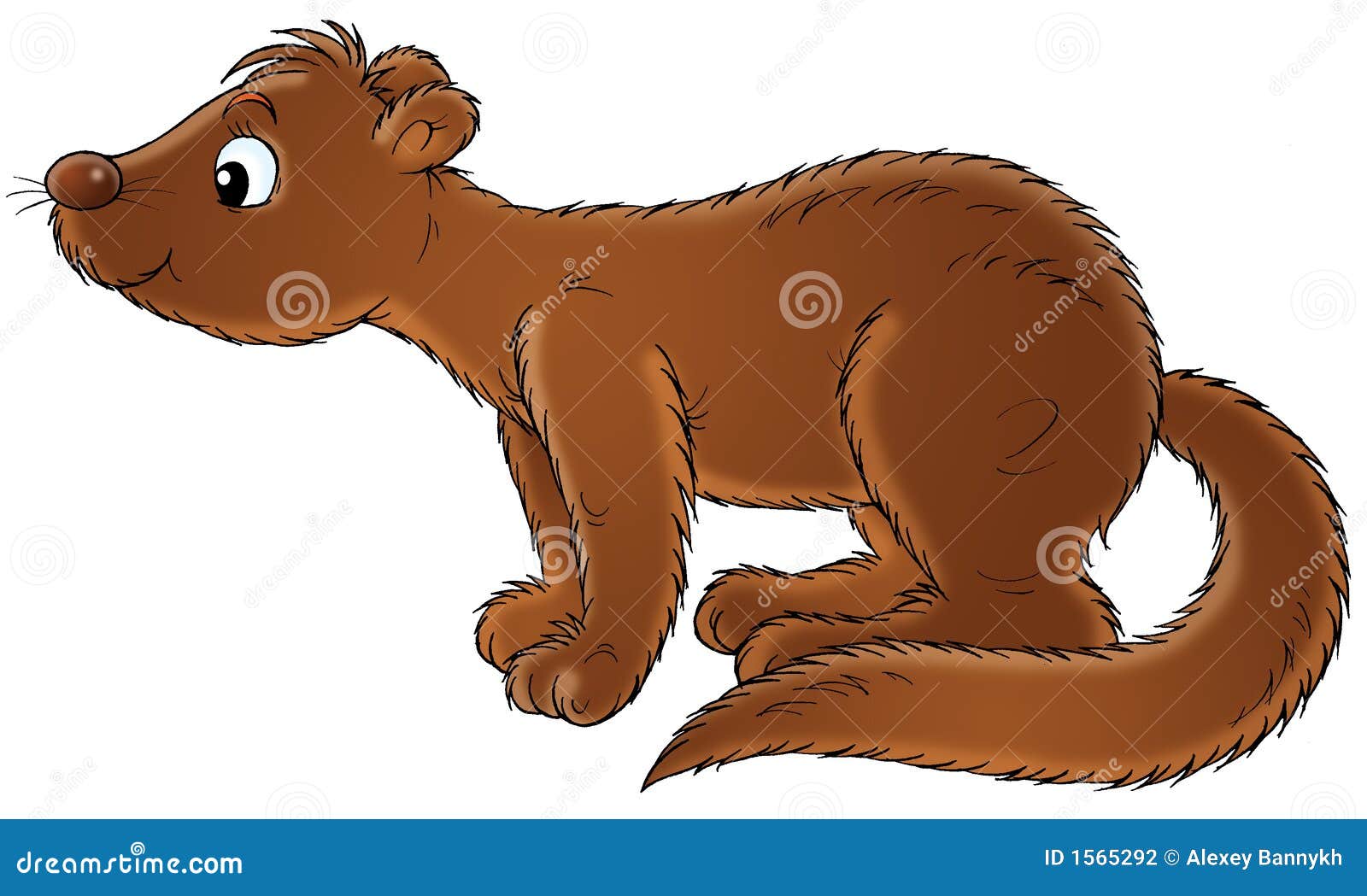 Mink stock illustration. Illustration of amusing, forest - 1565292