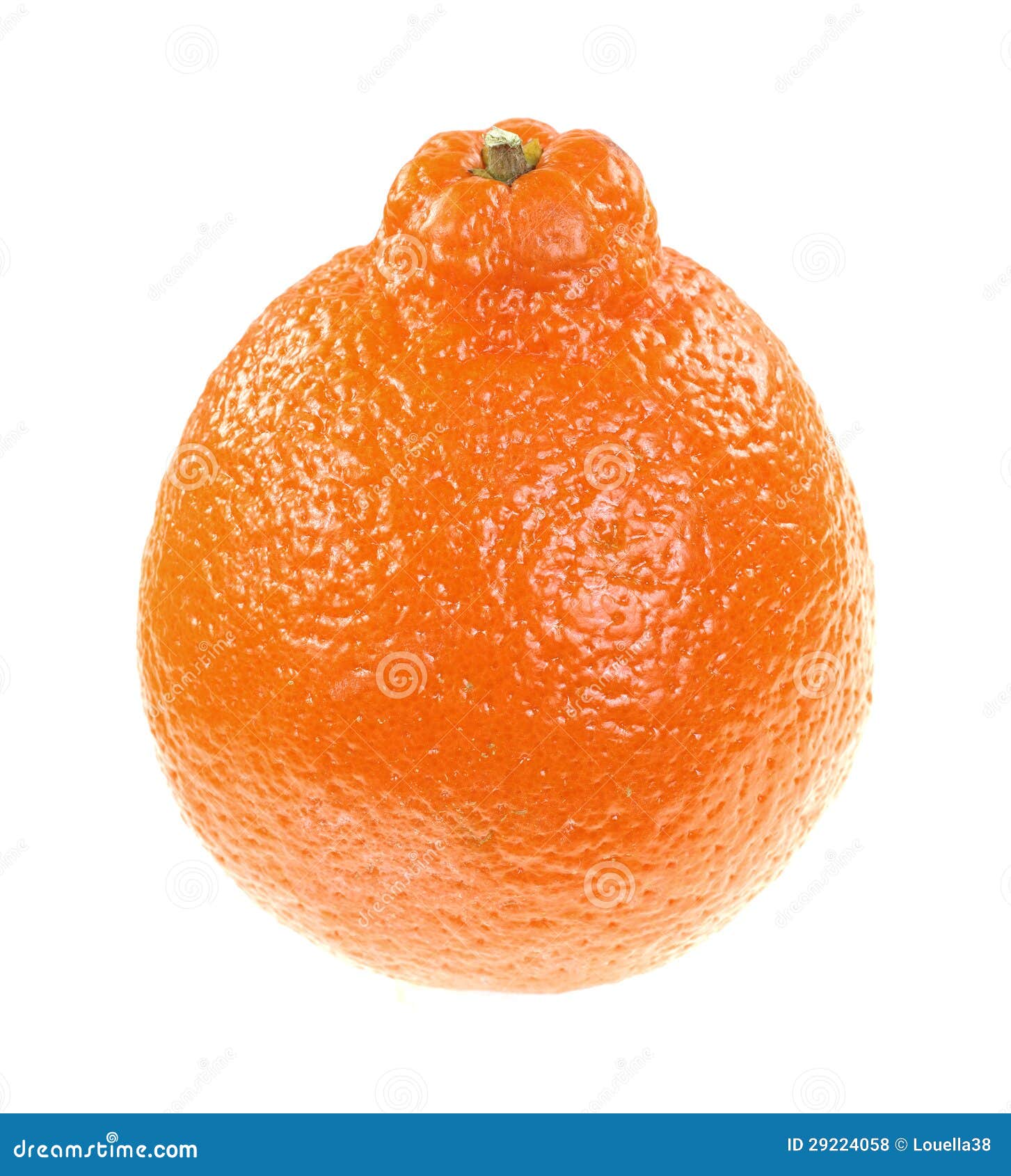 Minneola Single on White stock photo. Image of healthy - 29224058