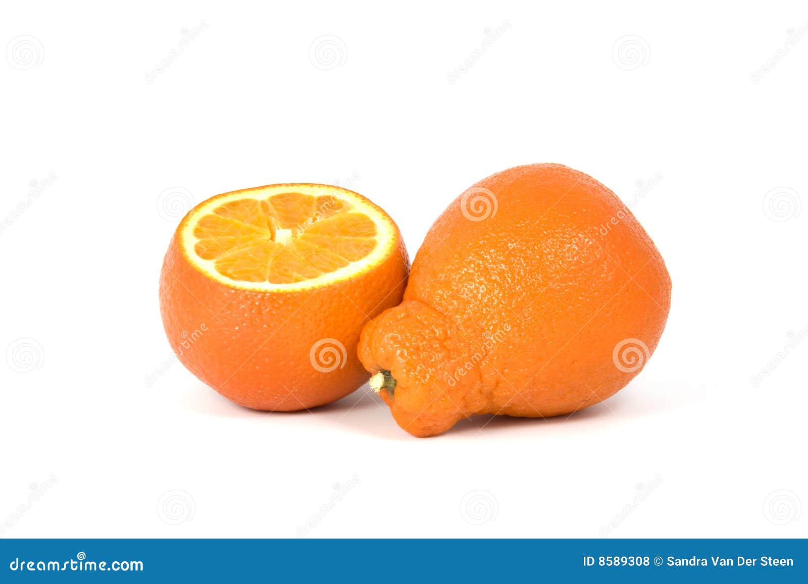 Minneolas fotografia stock. Immagine di arancione, frutta - 8589308