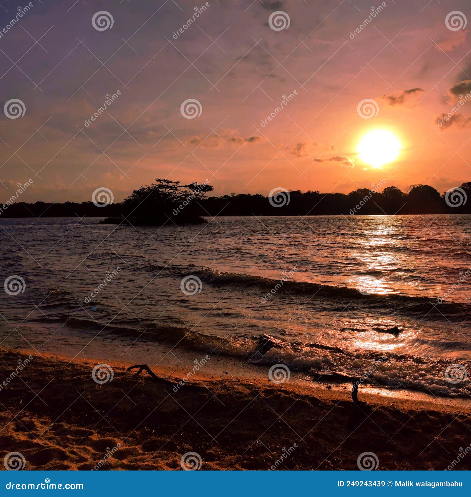 Minneriya tank stock image. Image of coast, tank, sunlight - 249243439