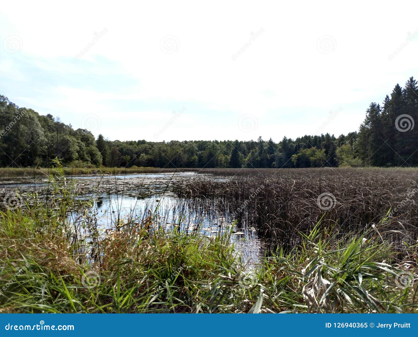Minnesota Crow Wing Landscape Stock Image - Image of state, autumn ...