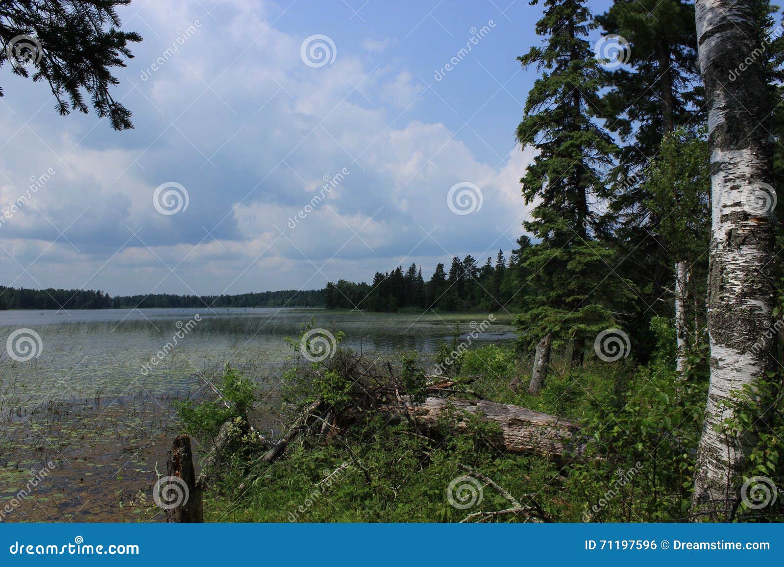 Minnesota Lake Front Landscape Stock Photo - Image of minnesota ...