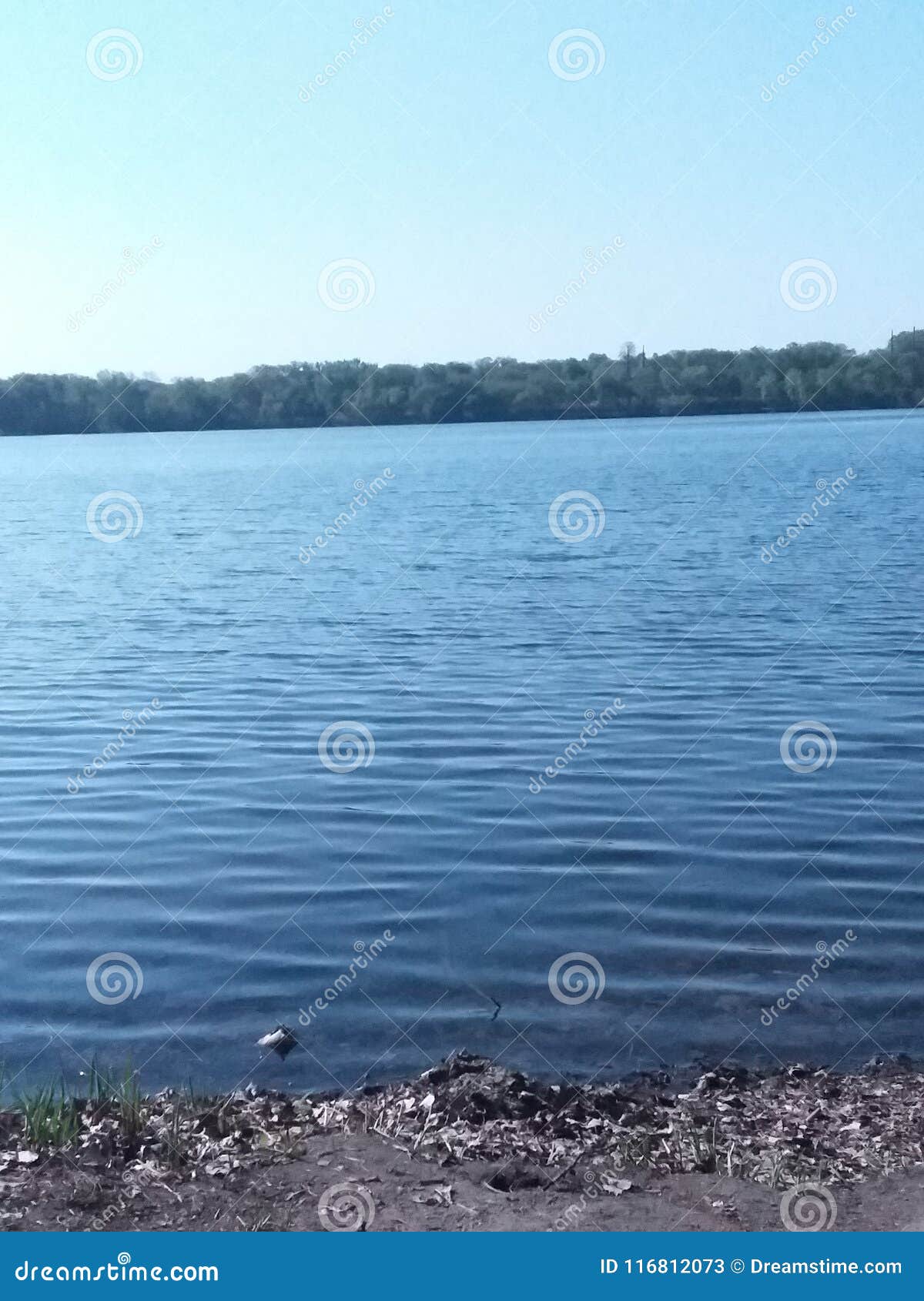 Lake view stock image. Image of view, water, summer - 116812073