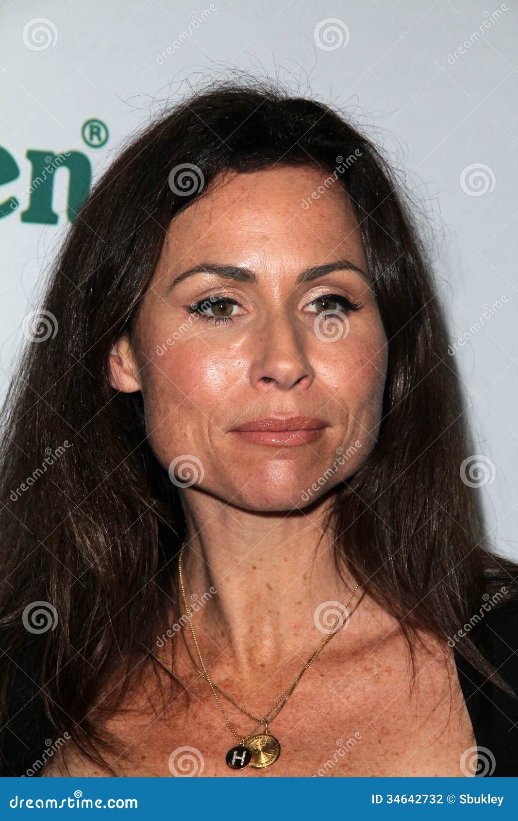 Minnie Driver fotografia editoriale. Immagine di minatore - 34642732