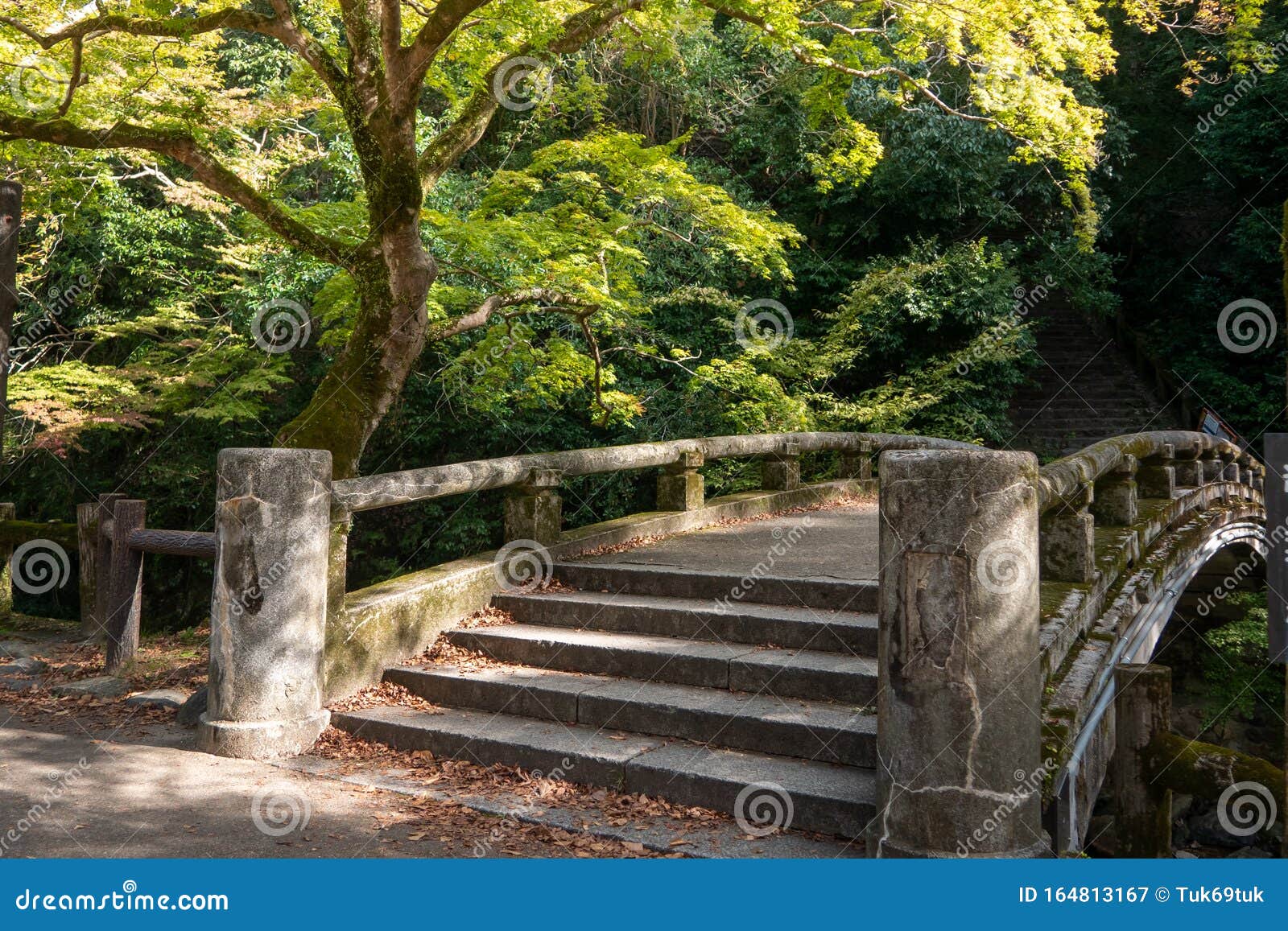 Minoh Park Waterfall or Minoo Waterfall - Osaka, Japan Stock Image ...