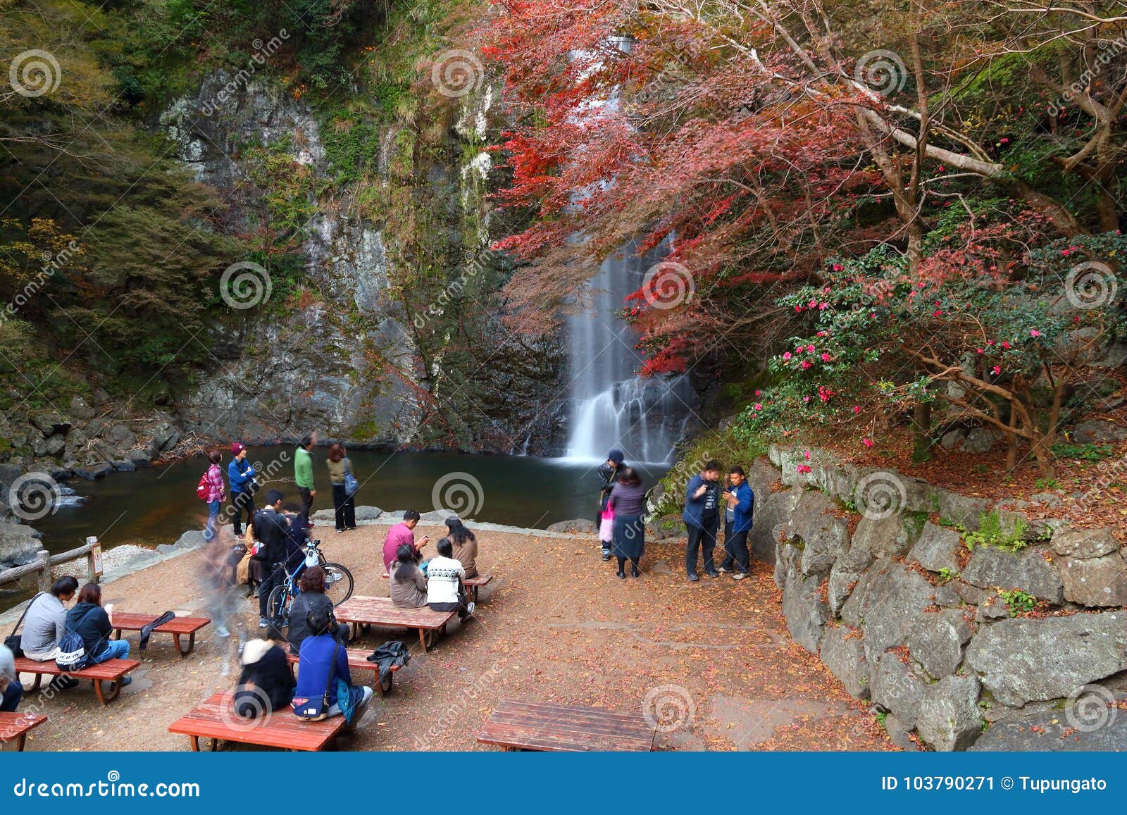 Minoo Park, Osaka foto editorial. Imagen de hojas, parque - 103790271