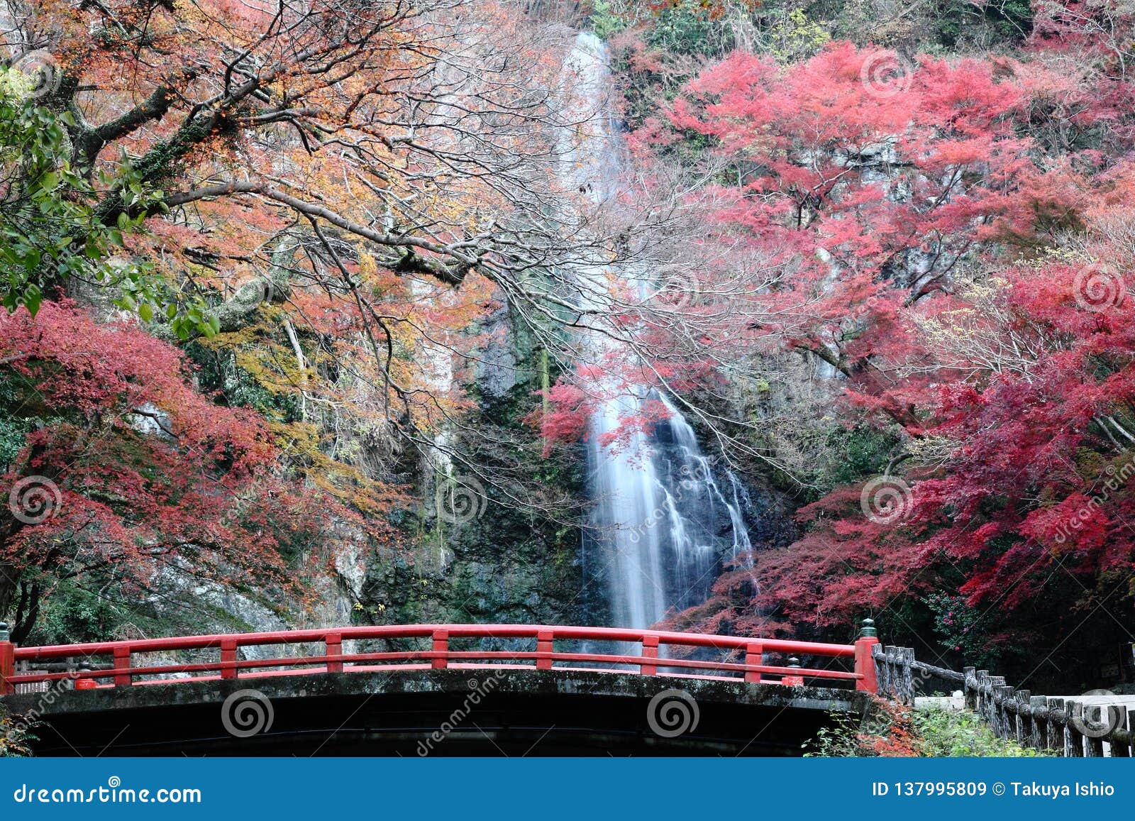 Minoo Waterfall Und Minoo Park Im Herbst Stockbild - Bild von gelb ...