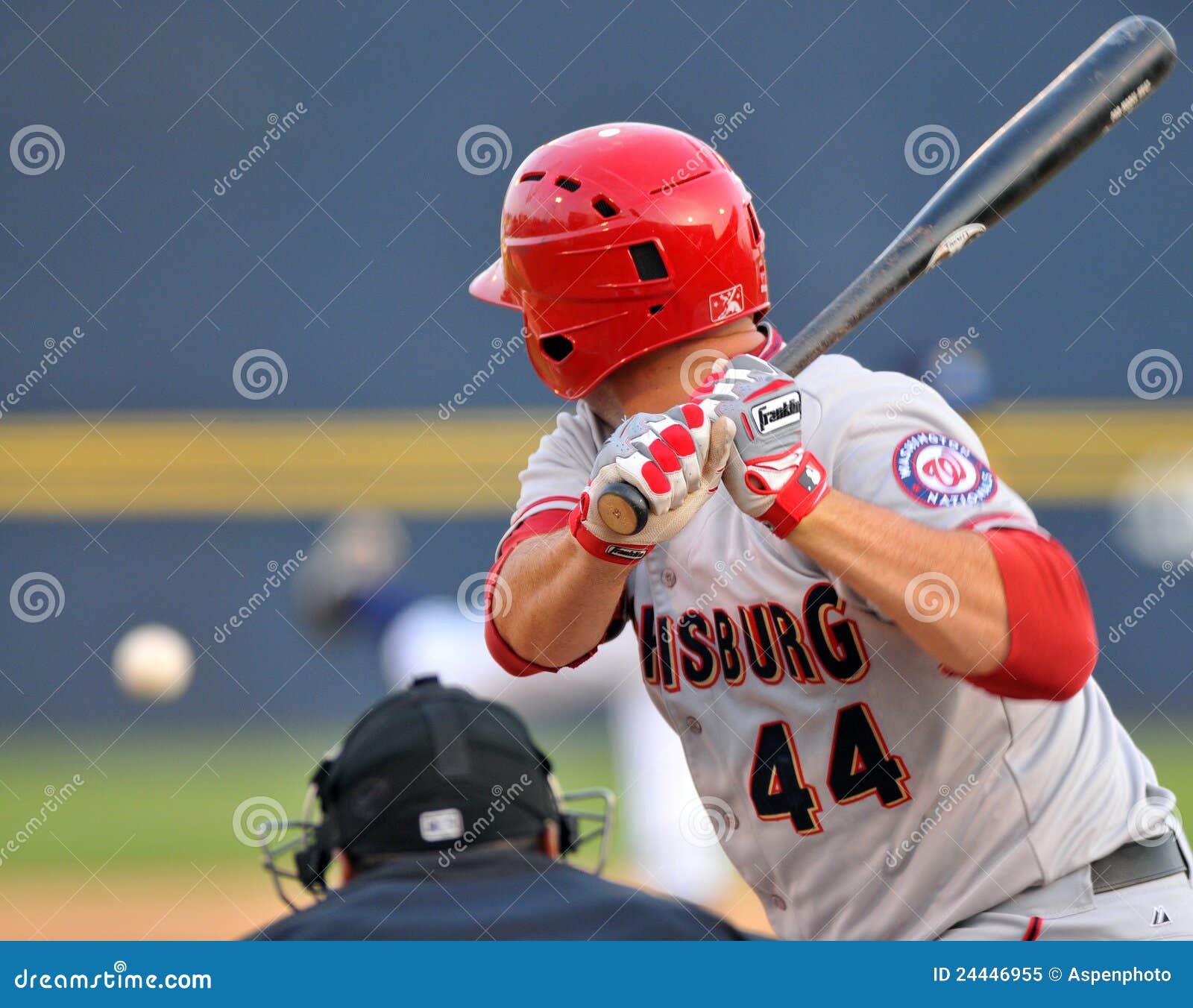 Minor League Baseball - Batter at the Plate Editorial Image - Image of ...