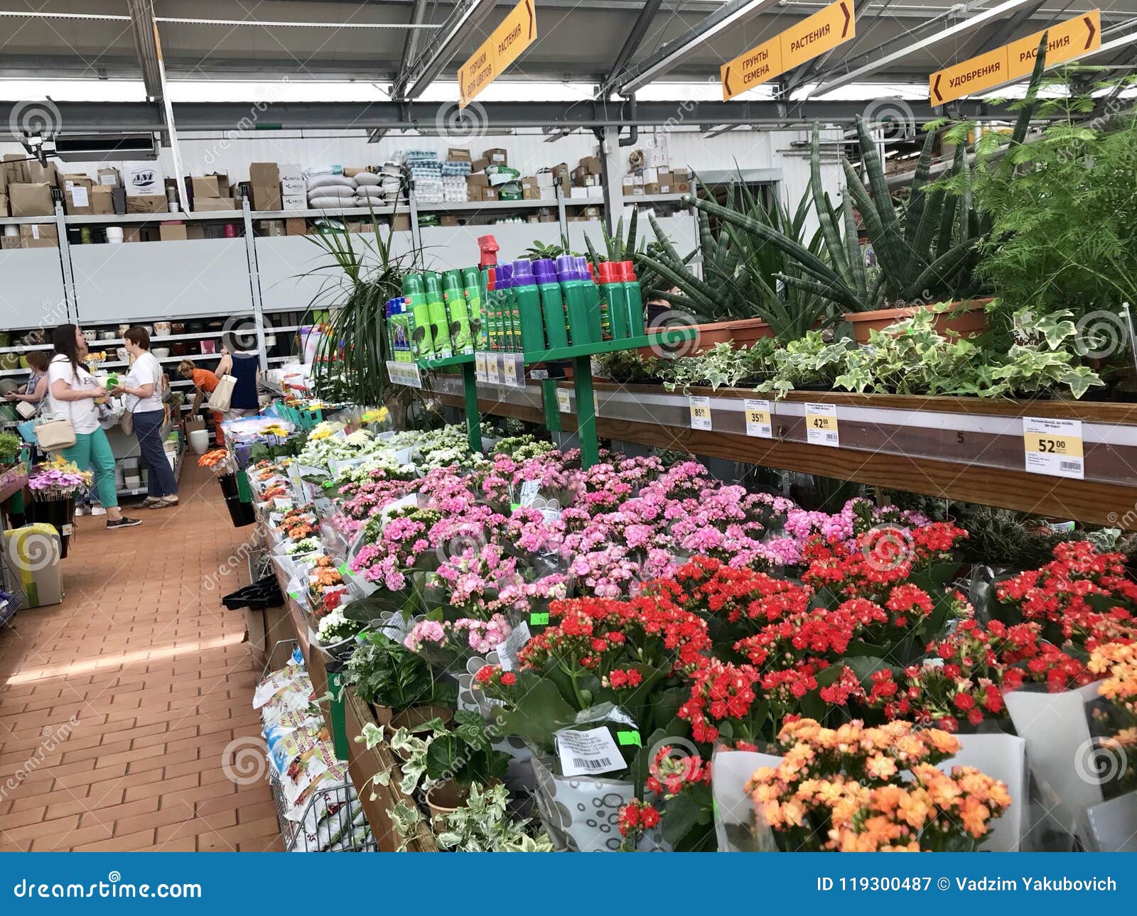 Shopping Center, Selling Flowers and Gardening Equipment. Beautifully ... Shopping Center, Selling Flowers and Gardening Equipment. Beautifully ...