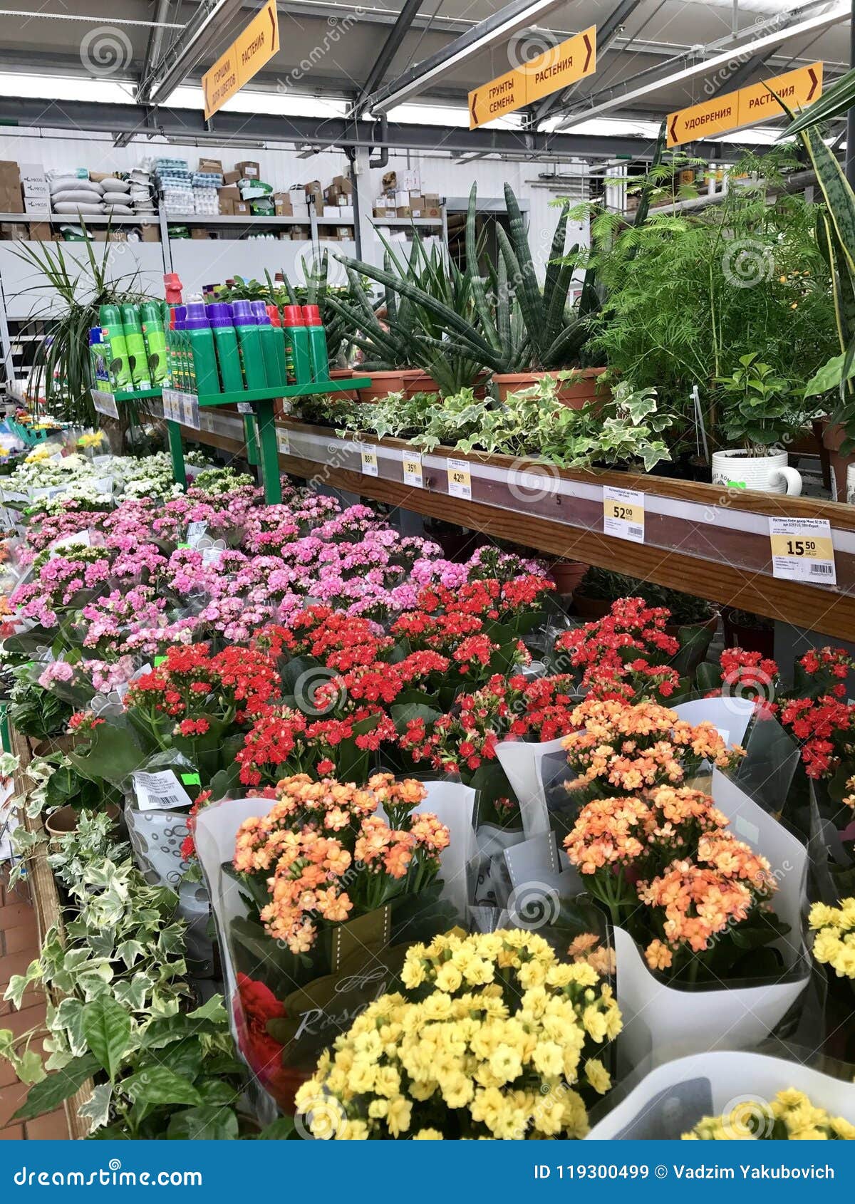 Shopping Center, Selling Flowers and Gardening Equipment. Beautifully ... Shopping Center, Selling Flowers and Gardening Equipment. Beautifully ...