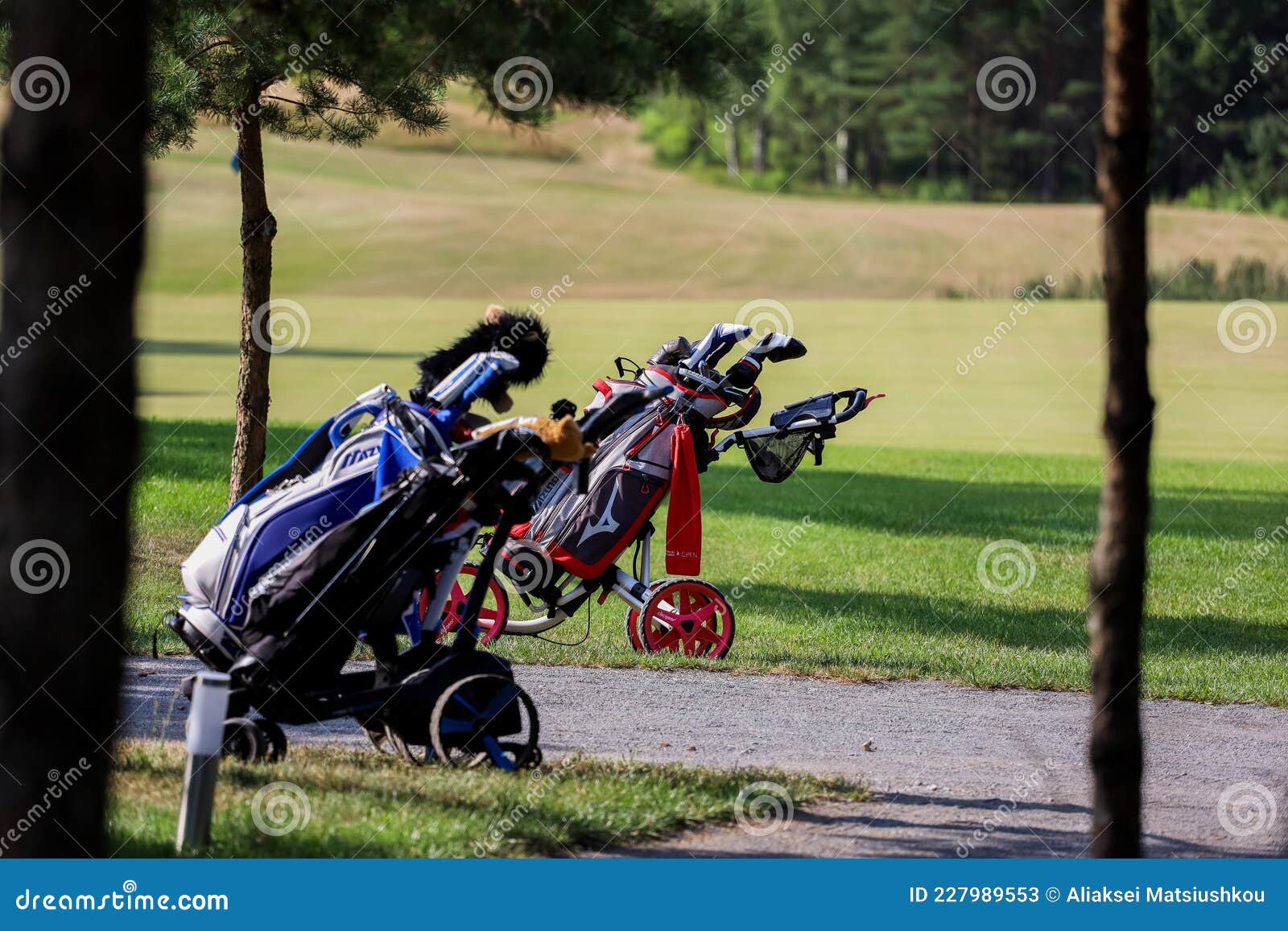 Minsk. Belarus - 24.07.2021 - Push-Pull Golf Carts. Green Grass, Trees ...
