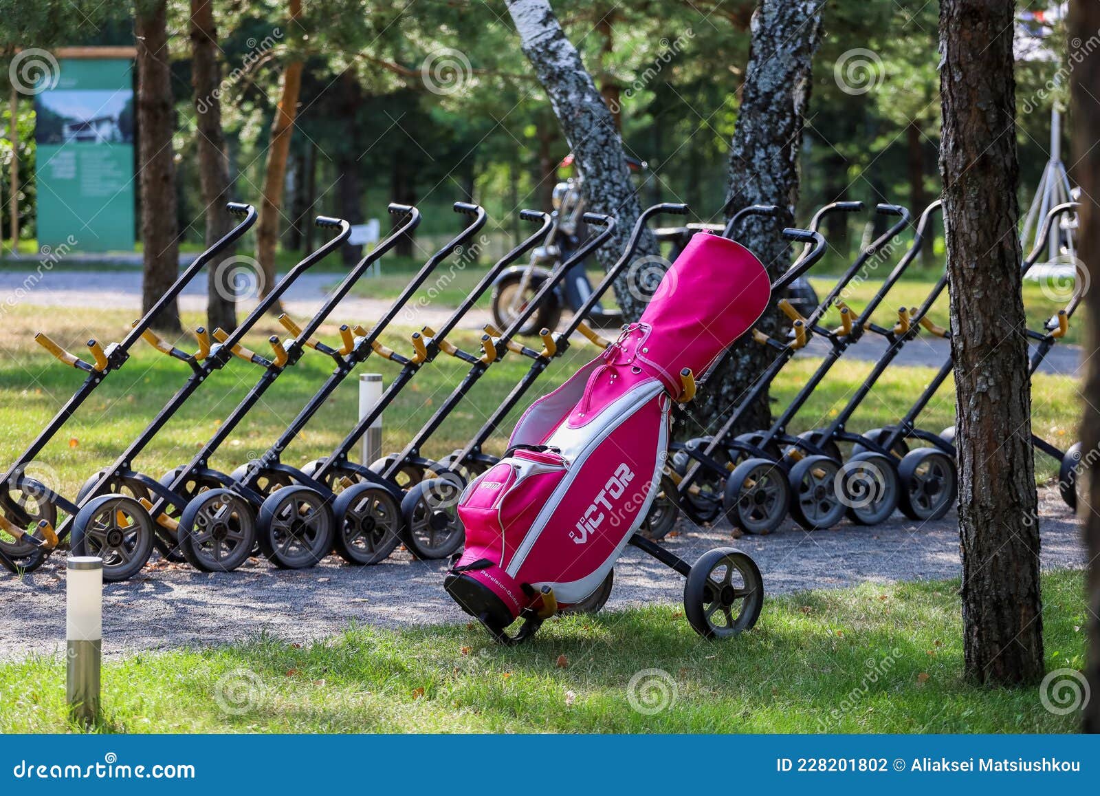 Minsk. Belarus - 24.07.2021 - Push-Pull Golf Carts. Green Grass, Trees ...