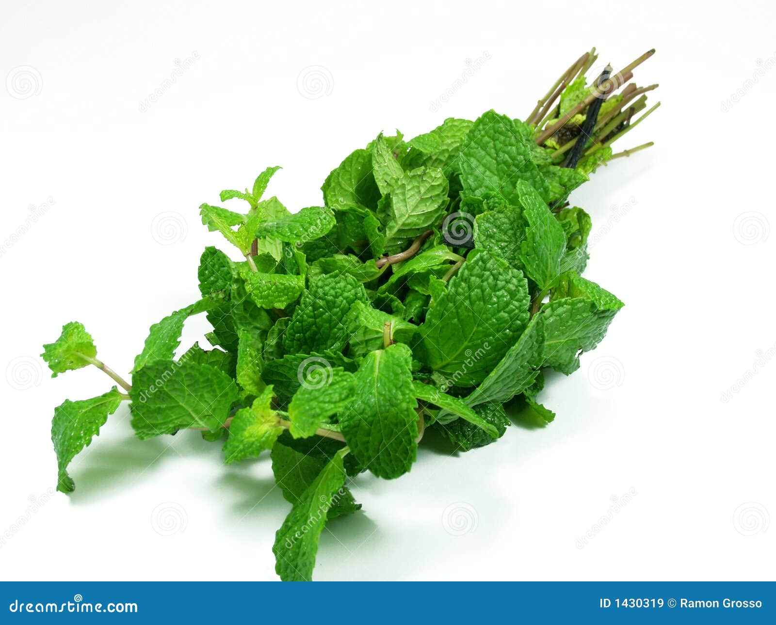 Mint stock image. Image of food, flavour, fragrances, fresh - 1430319