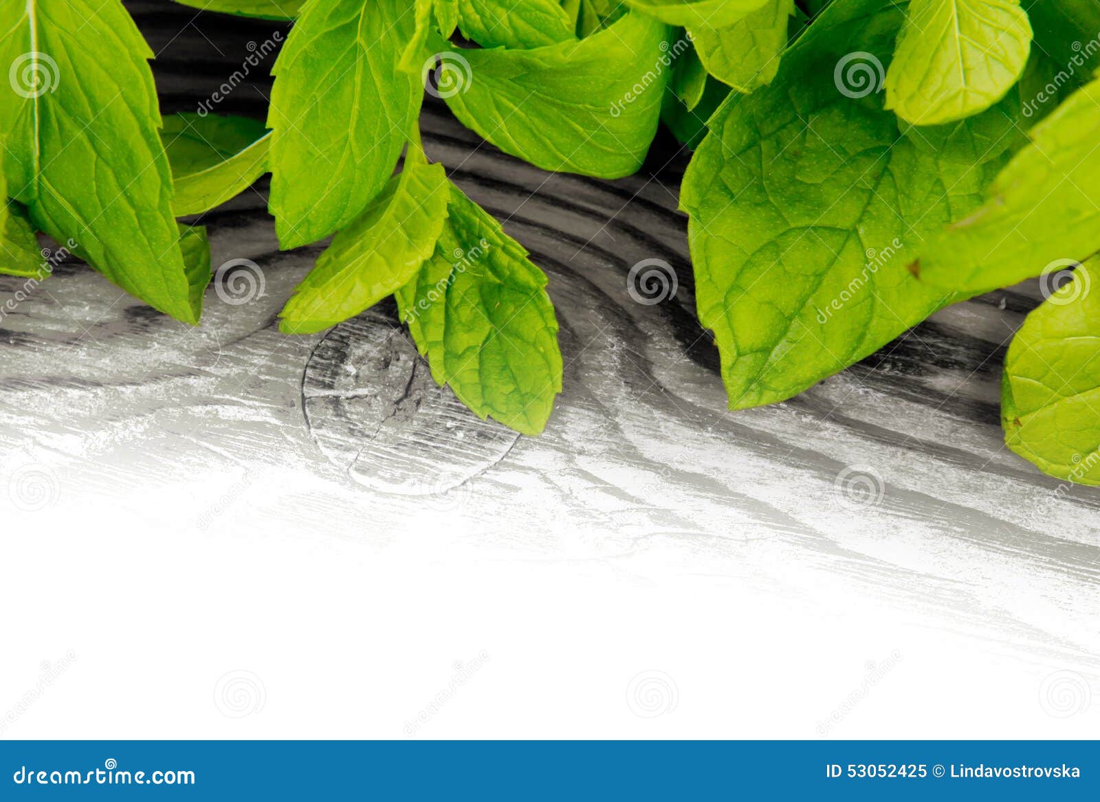 Mint abstract stock image. Image of freshness, mint, fragrant - 53052425