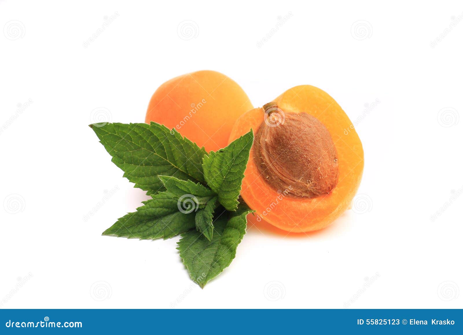 Mint, Apricot Cut in Half on White Stock Image - Image of summer ...
