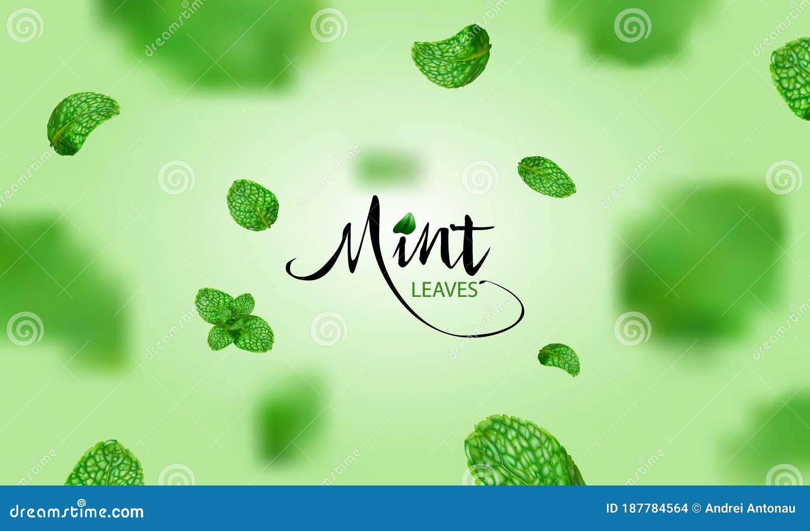 803_Flying Green Mint Leaves on Green Background Template Stock Vector ...