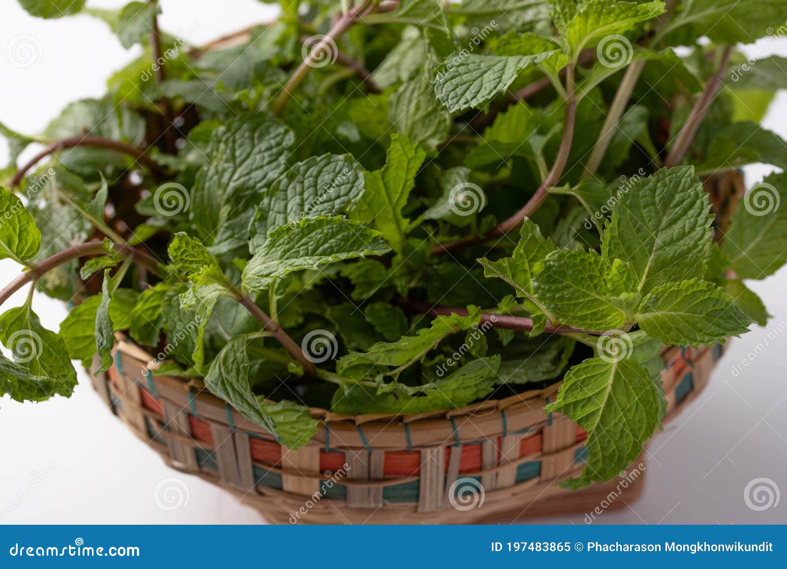 Mint in Bamboo Basket on White Background Stock Image - Image of home ...