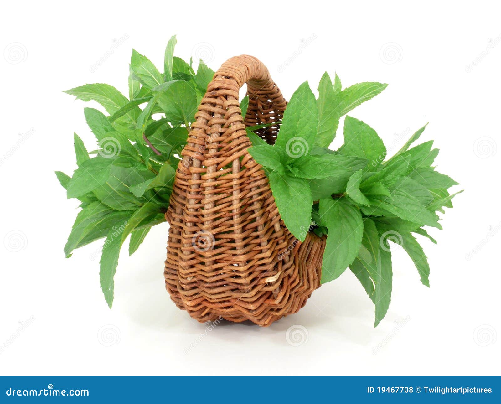 Mint in the basket stock photo. Image of fresh, remedy - 19467708